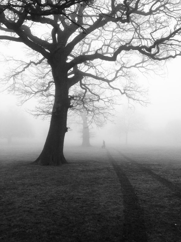 5 astuces pour photographier par temps gris - Apprendre la Photo