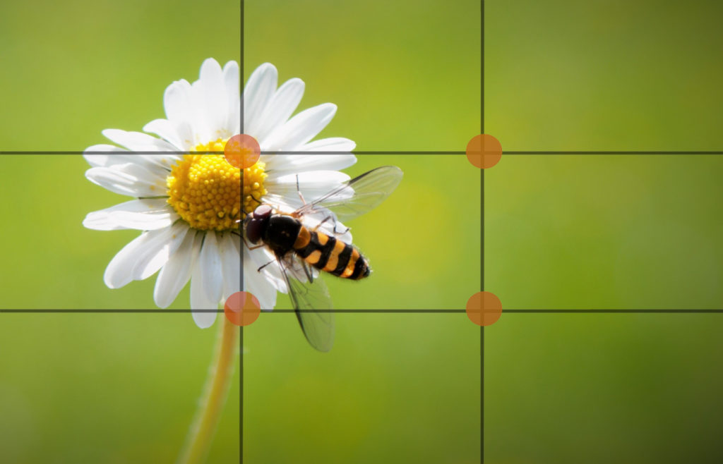 - Apprendre la Photo