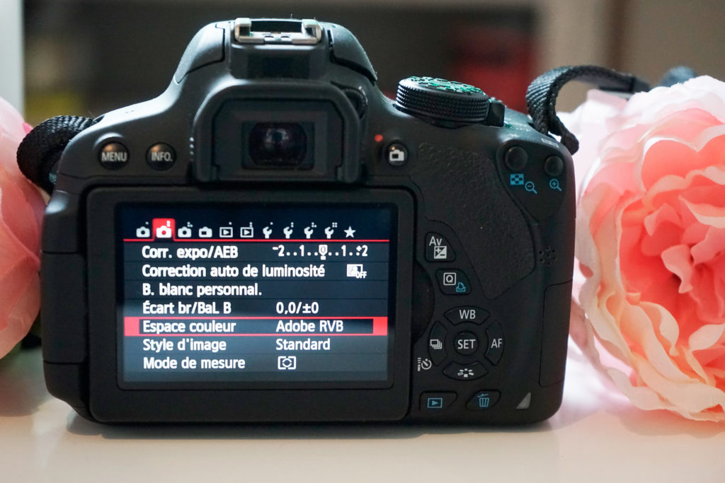 sRGB ou Adobe RVB : quel profil colorimétrique choisir ? - Apprendre la ...