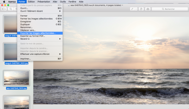 Qu’est-ce que le format HEIC / HEIF et comment l’ouvrir ou le convertir ...