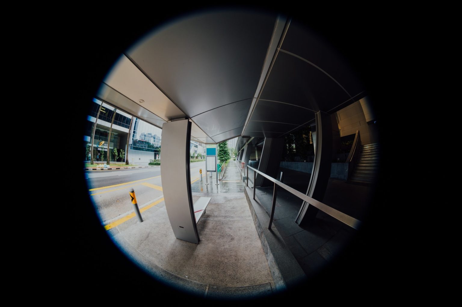 Pourquoi choisir et utiliser un objectif fisheye ? - Apprendre la Photo