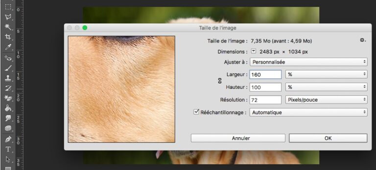 Qu’est-ce qu’un objectif anamorphique et comment l’utiliser ...